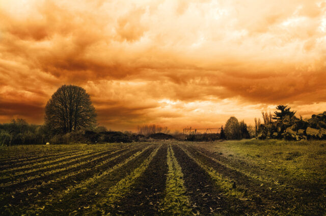 Agricultural Land Soot Contamination - Mike Brandner Law
